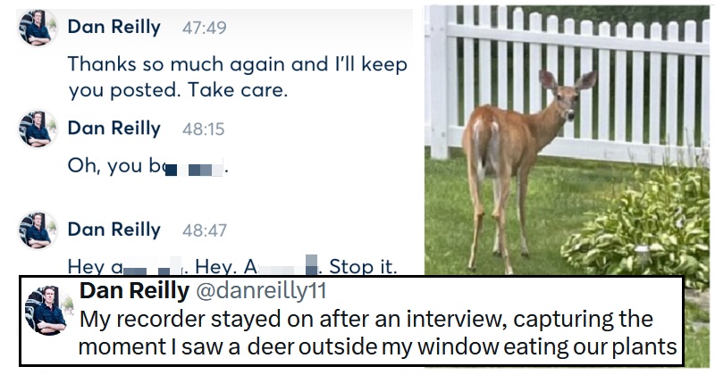 This interview transcript took a hilariously NSFW turn thanks to a ...