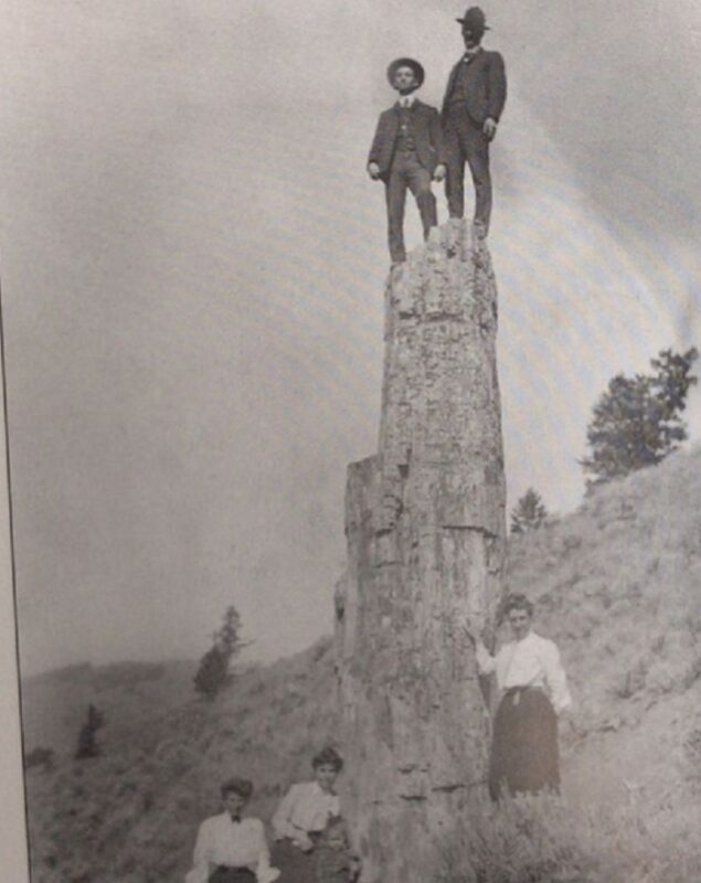 The Tourons of Yellowstone show what not to do - 17 times over - The Poke