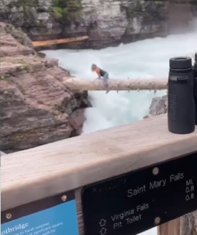 The Tourons of Yellowstone show what not to do - 17 times over - The Poke