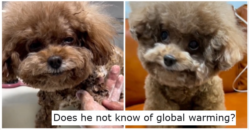 People are trying to wipe the smile off the face of the world's ...