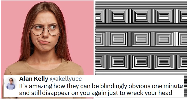 'In this image there are 16 circles. Can you find them?' - The Poke