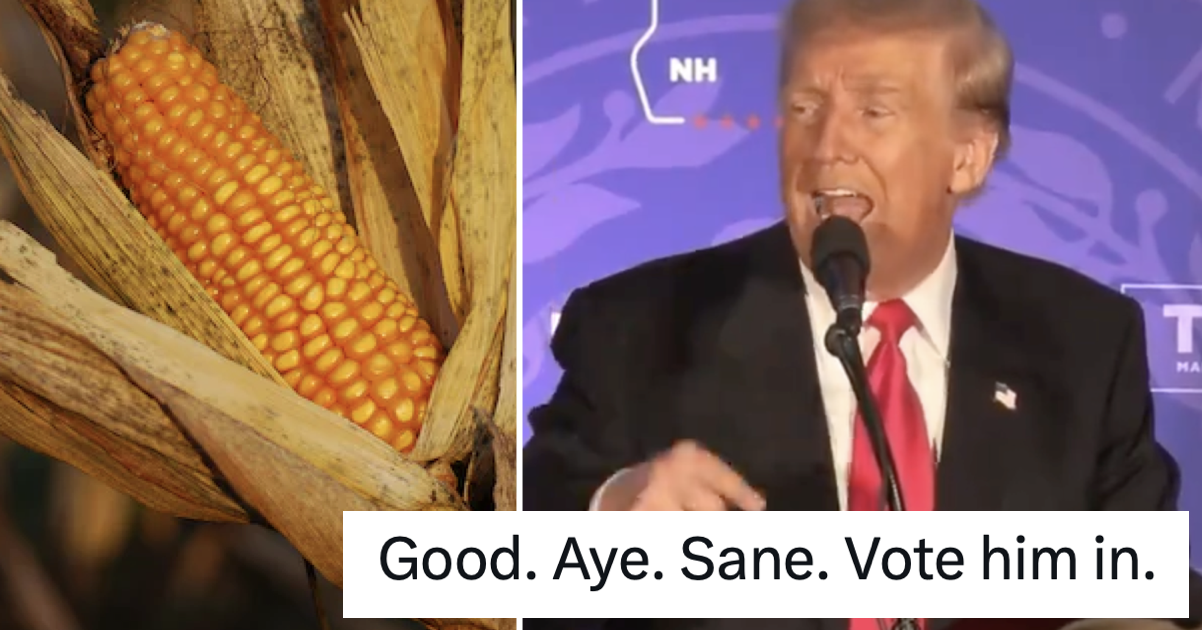 Donald Trump talking corn is surely the oddest 32 seconds you'll spend ...