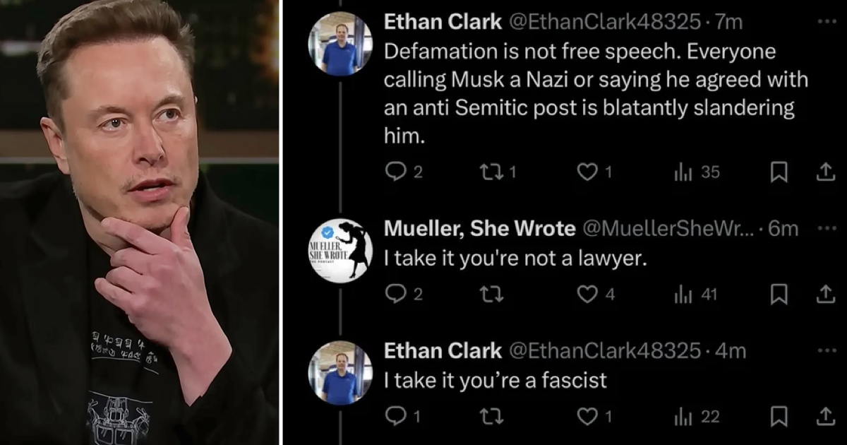 The fabulous takedown of this Elon Musk fan has just gone viral again ...