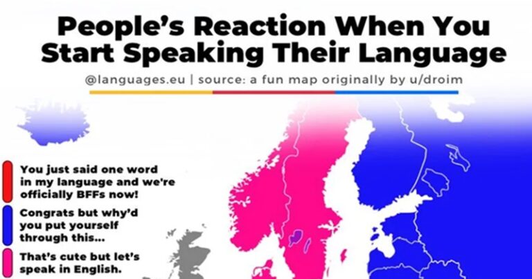 languagemap - The Poke - The Poke