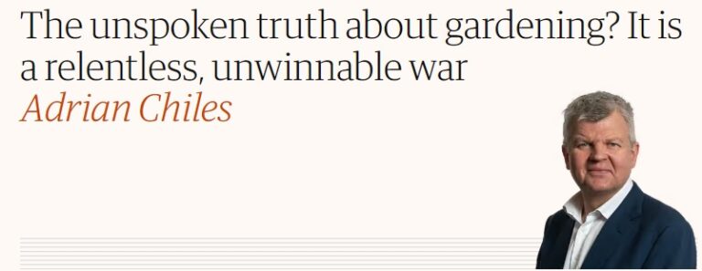 Adrian Chiles passes the Guardian column vibe check - but why are they ...