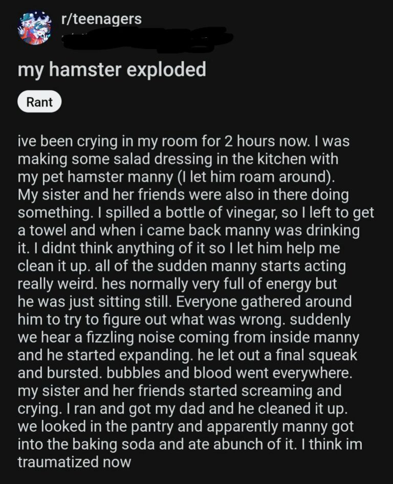 The tale of this exploding hamster went wildly viral and it's a ...