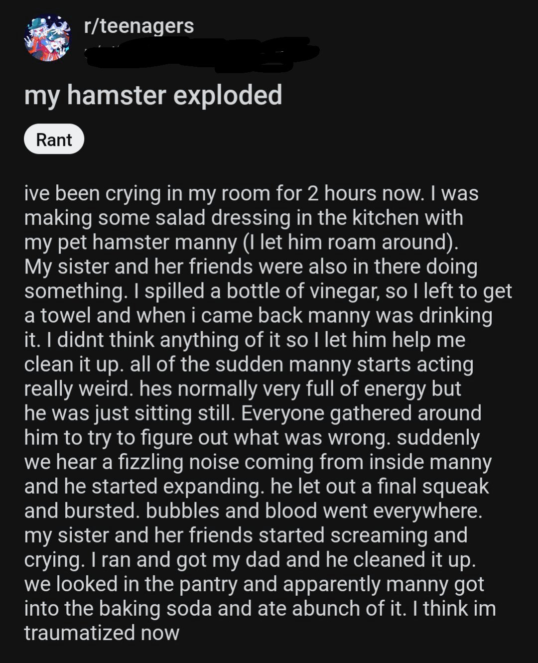 The tale of this exploding hamster went wildly viral and it's a ...