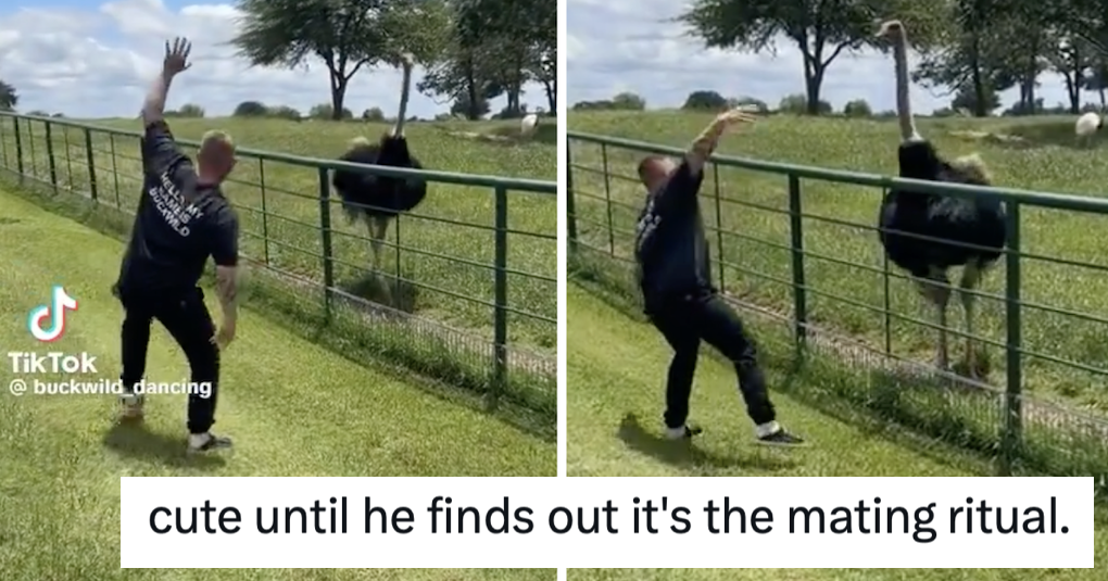 'An early call, but this will be the best thing you watch today' (wait ...