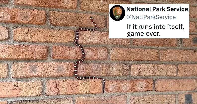 US National Park Service spotted something playfully familiar about ...