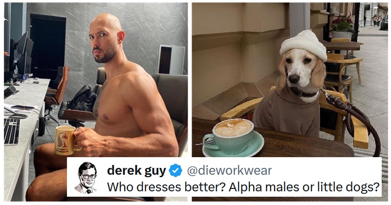 'Who dresses better? Alpha males or little dogs?' Derek Guy has the ...