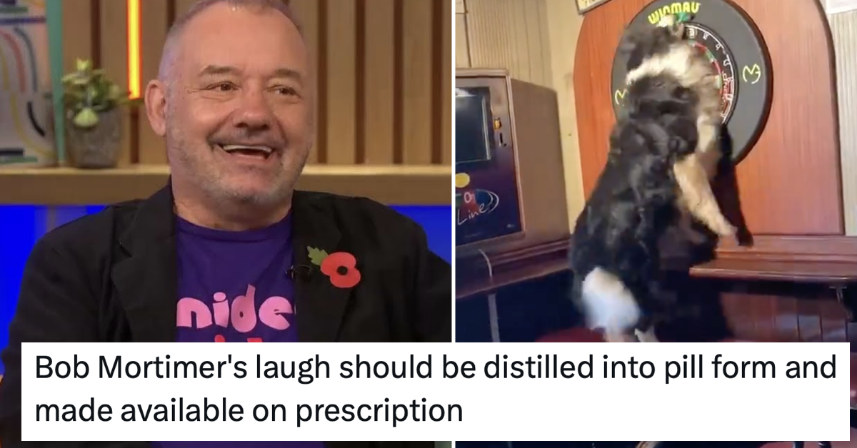 Bob Mortimer went to a pub with a 'doggie dart collection service' and ...
