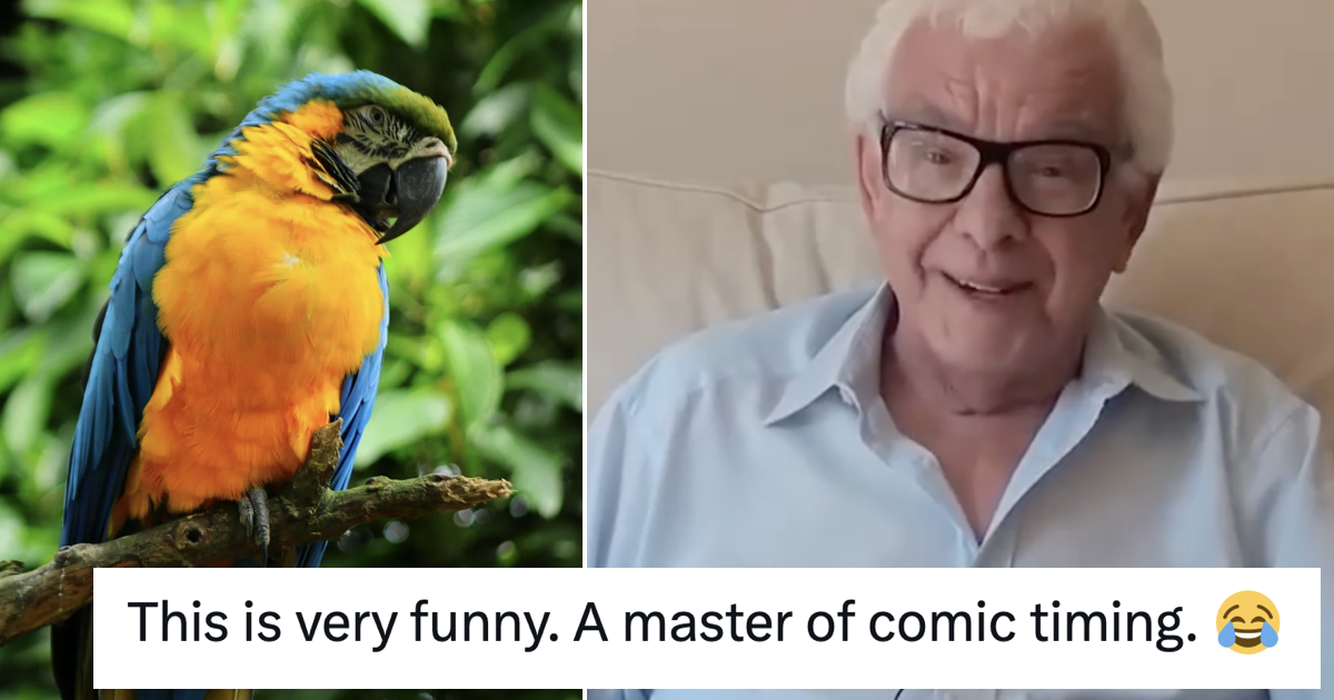 Barry Cryer's 'favourite parrot joke' has been making people's day all ...