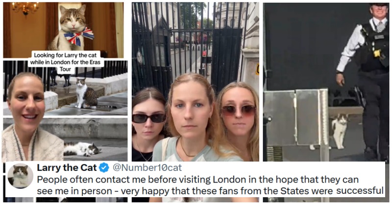 Three American Swifties won hearts and minds with their efforts to see ...