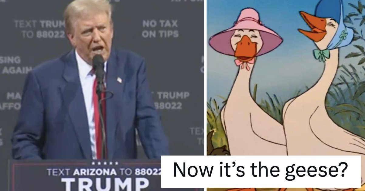 Donald Trump said migrants were 'taking geese from the park' and of all ...
