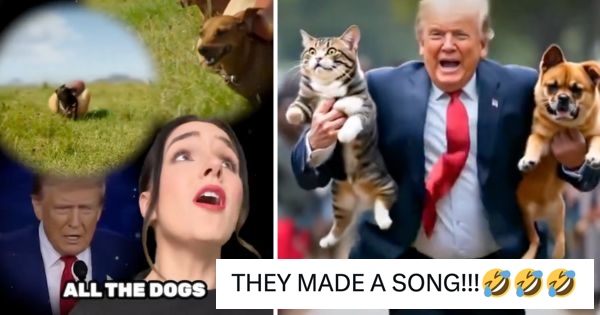 10 simply fabulous Donald Trump "they're eating the pets" remixes ...