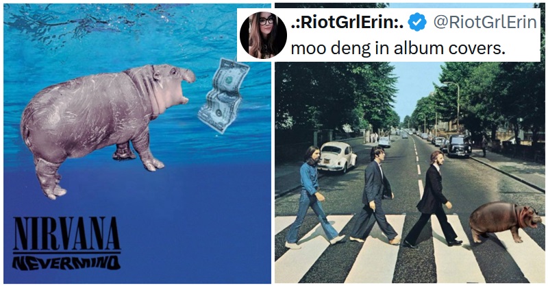 Want to see Moo Deng expertly added to 25 classic album covers? Of ...