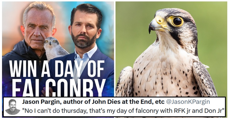 One lucky person could win a day of falcony with RFK Jr. and Donald ...