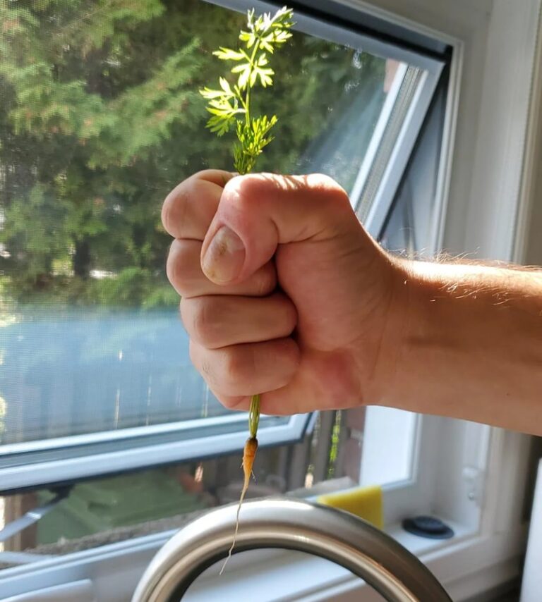 19 highly relatable annoyances from r/mildlyinfuriating on Reddit - The ...