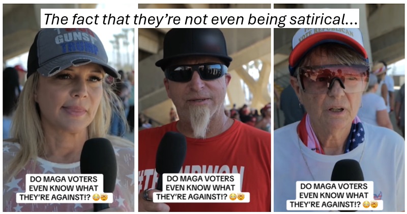 These MAGA cultists really embarrassed themselves trying to define the ...