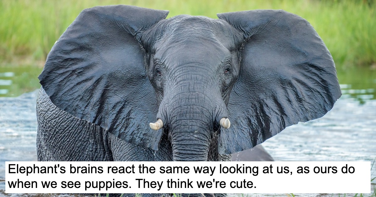 'What’s a reassuring fact that not many people know?' - 21 comforting ...