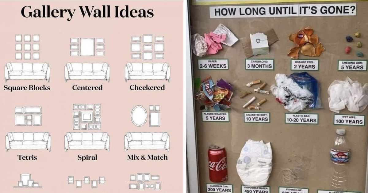 These 23 excellent explainers from 'cool guides' on Reddit are fabulous ...