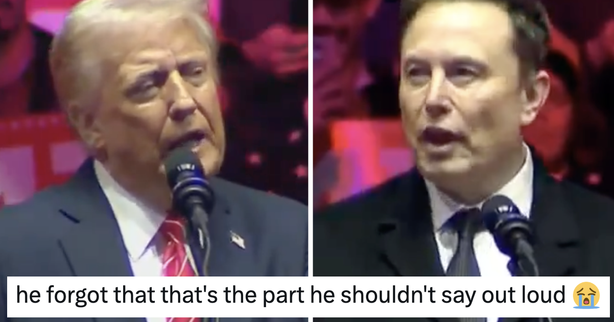 Donald Trump bigged up Elon Musk's expertise with 'vote-counting ...