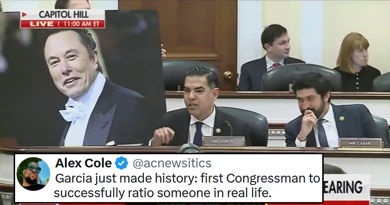 A Democratic congressman's low opinion of Elon Musk led to an absolute ...