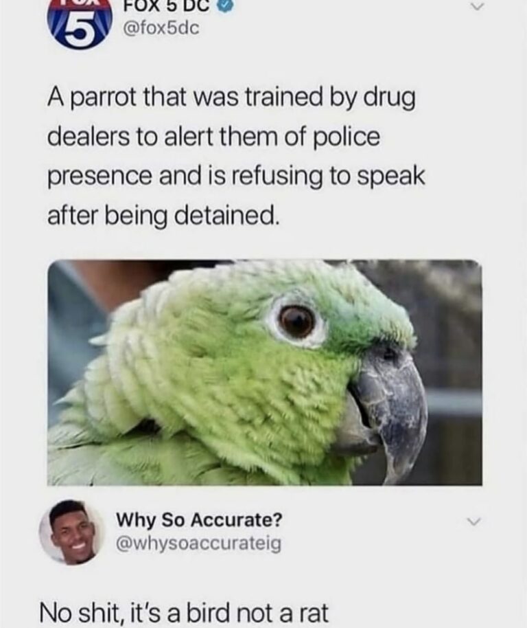 13 of the best, most enduringly classic tweets of all time - The Poke