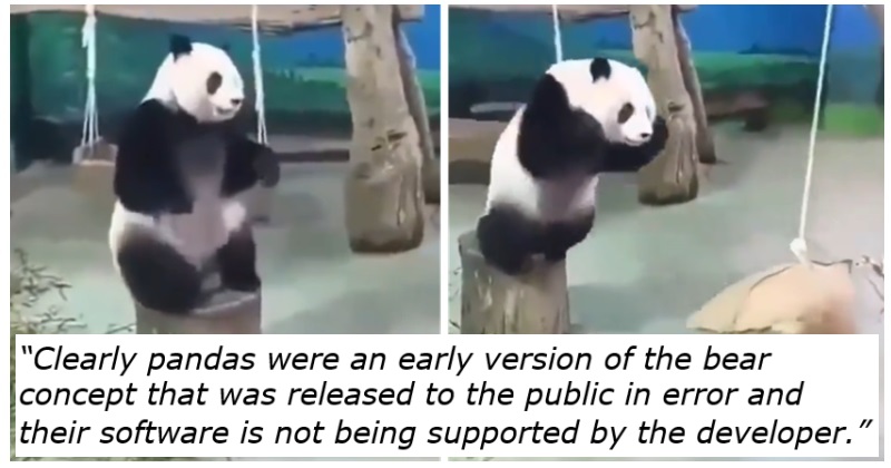 We'll forever be in awe at the impeccable timing of this unfortunate ...