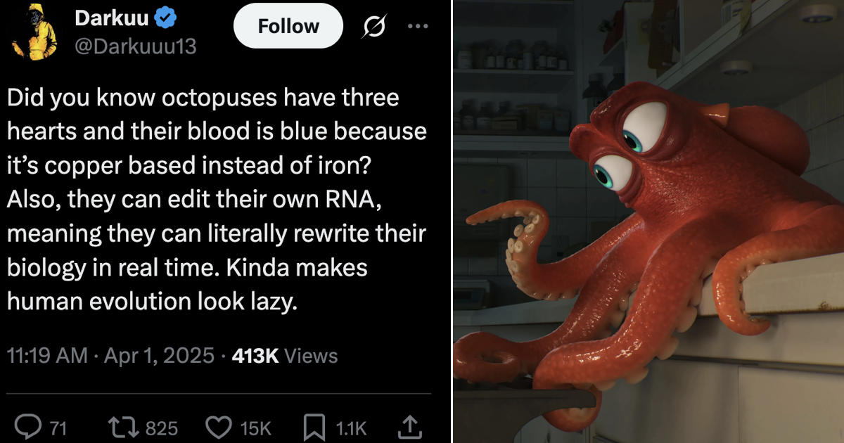 Somebody asked for 'random fun facts' to kill their boredom - 24 ...