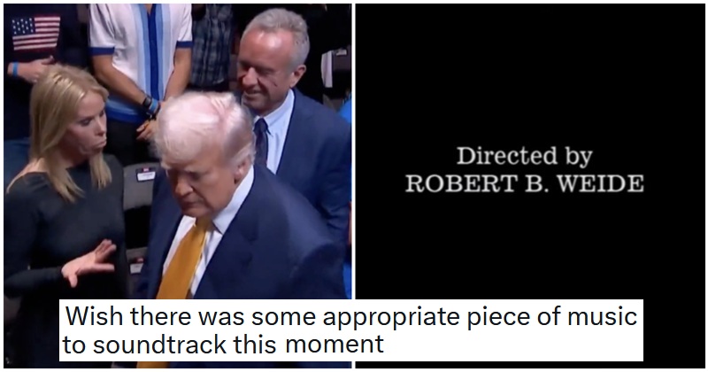 There was only ever going to be one perfect reaction to Cheryl Hines being snubbed by Donald ...