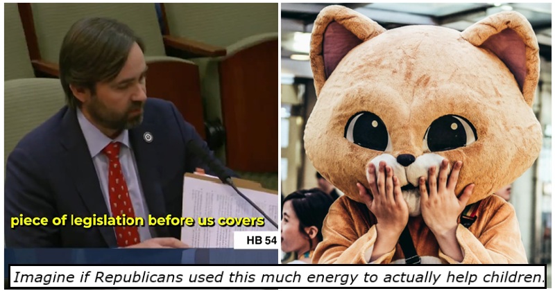 Texas wants to officially ban schoolchildren from dressing as cats and ...