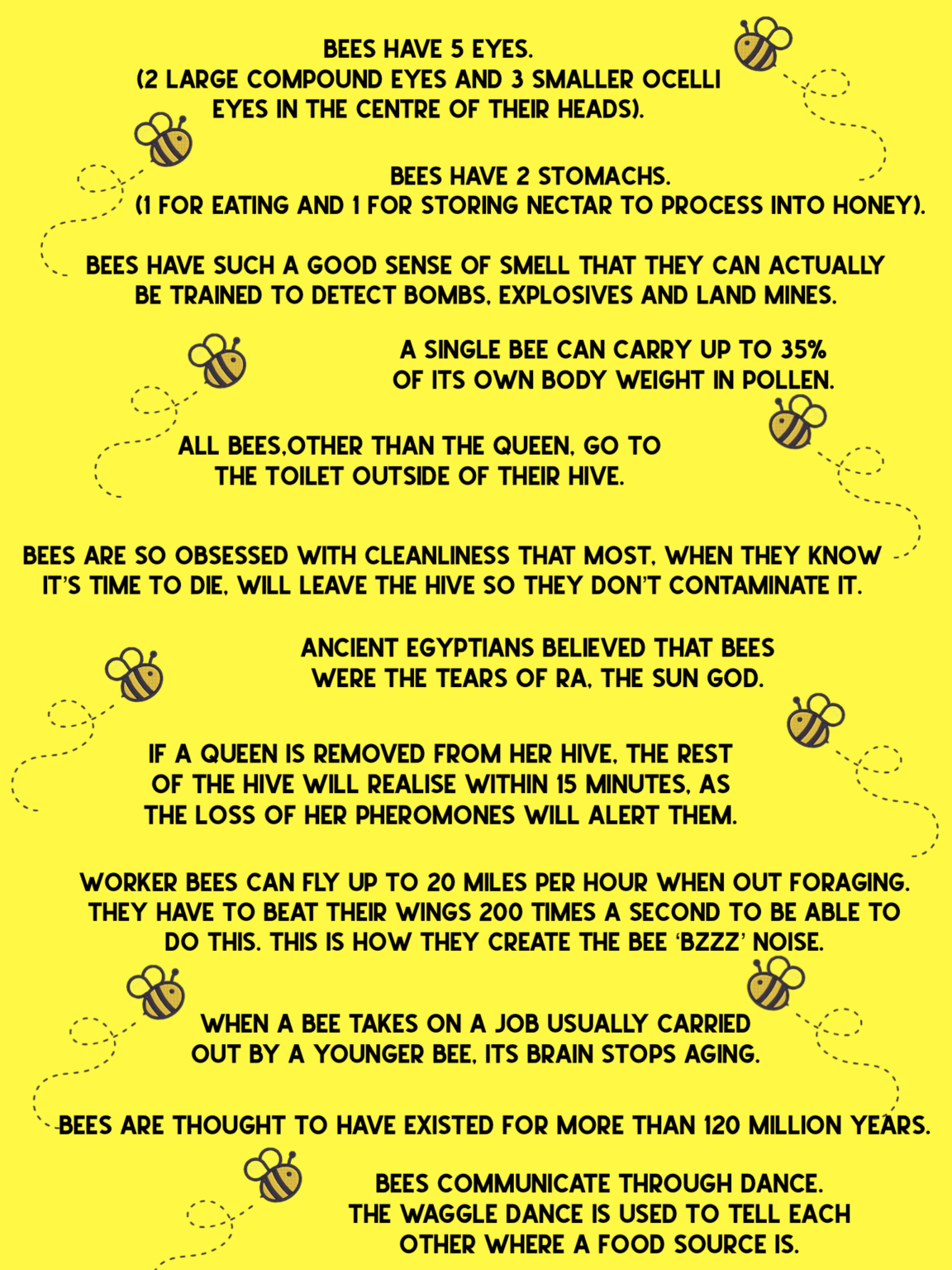 12 fabulous facts about bees to celebrate World Bee Day - The Poke