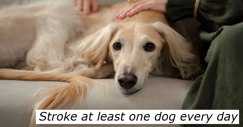 8 absolutely doable things to improve your life - The Poke