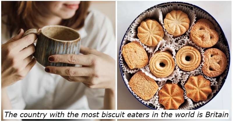 Crumbs! 8 biscuit facts to celebrate National Biscuit Day! - The Poke