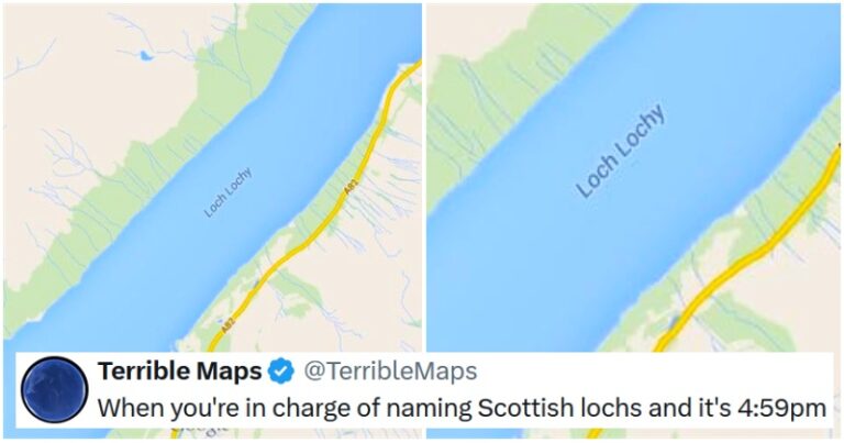 totw - The Poke - The Poke