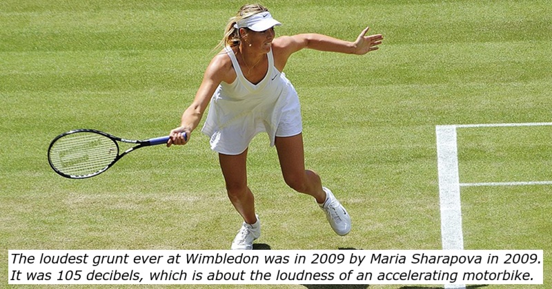 12 ace facts about Wimbledon served to you with love - The Poke