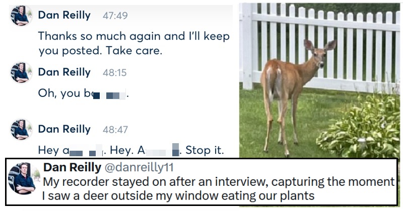 An errant deer turned a straightforward transcript into a hilariously ...