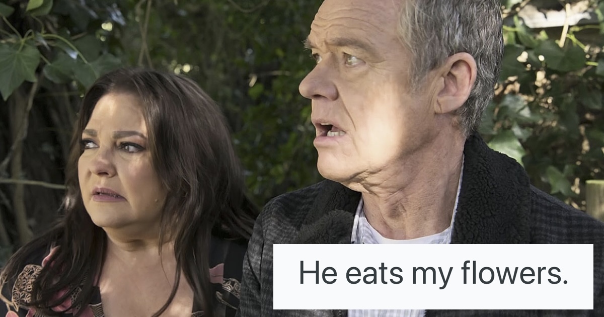 People shared the stories of the worst things their 'crazy neighbour ...