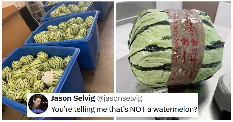 Crime doesn't pay - especially if you do it like these smugglers who ...