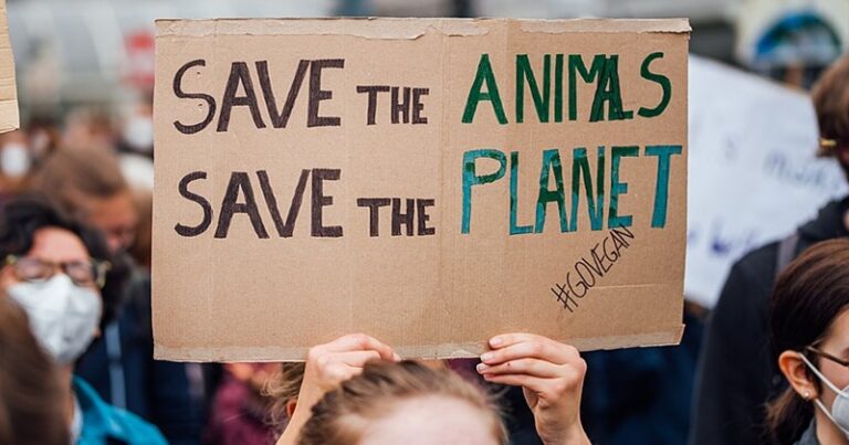 woke - The Poke - The Poke