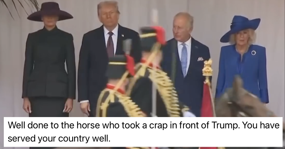 A horse took a dump in front of Donald Trump and finally we had ...
