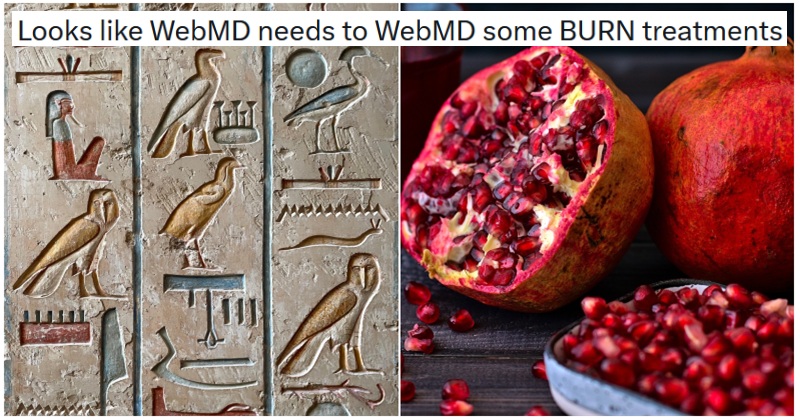 This scathing takedown of some utter BS about medicine in ancient Egypt was just what the doctor ...