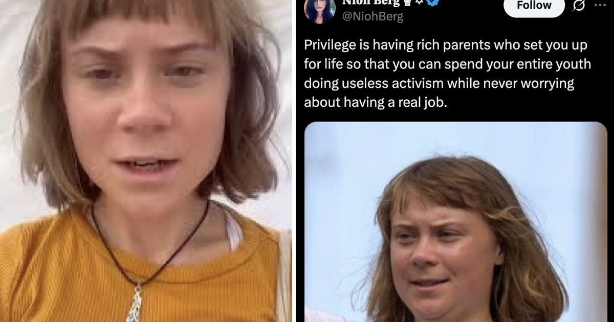 This 'anti-woke' troll's takedown of Greta Thunberg wasn't the slam ...