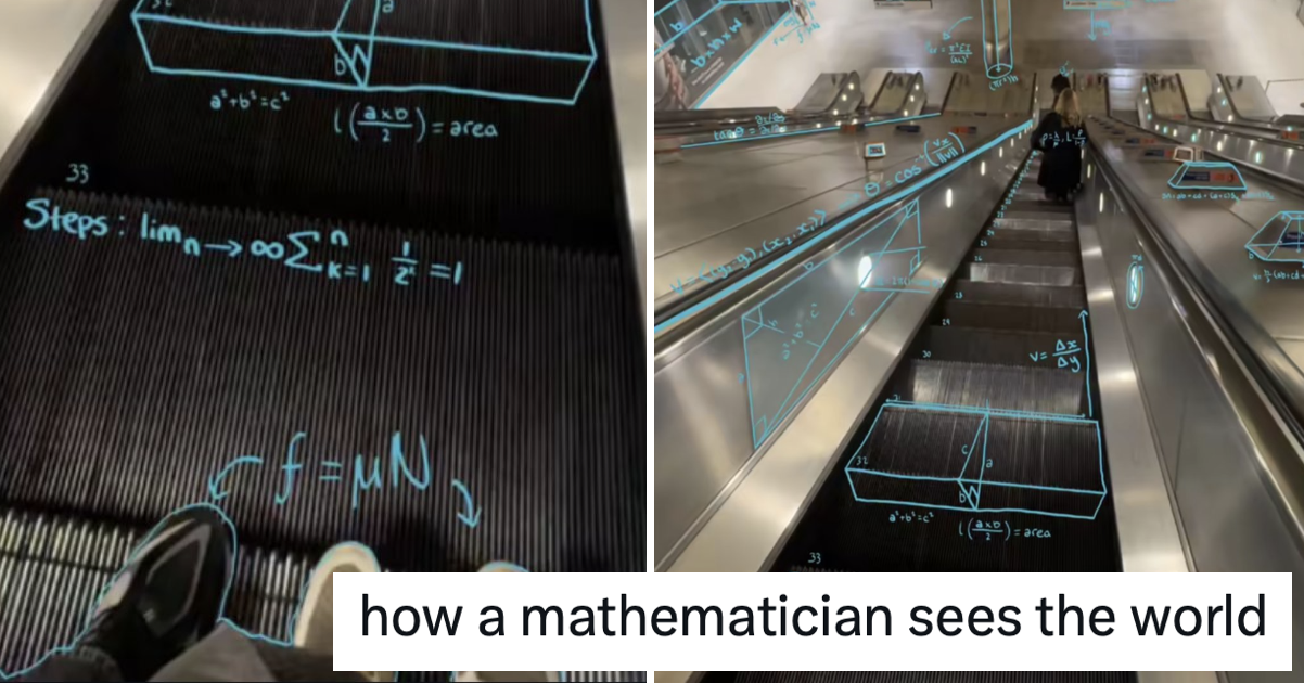 The suggestion this is 'how mathematicians see the world' prompted no ...
