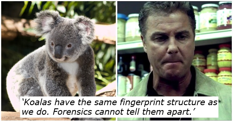 'What’s the most shocking fact you know?' - 17 unexpected nuggets of ...