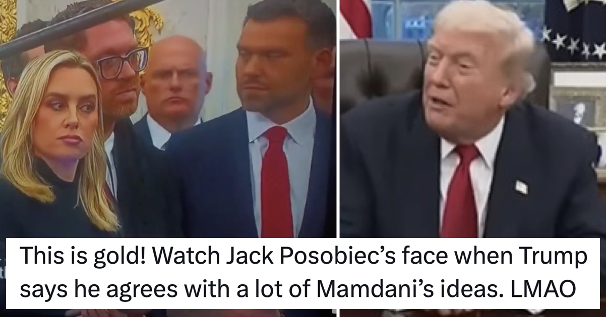 The look on this alt-right conspiracy theorist's face as Trump cosied ...