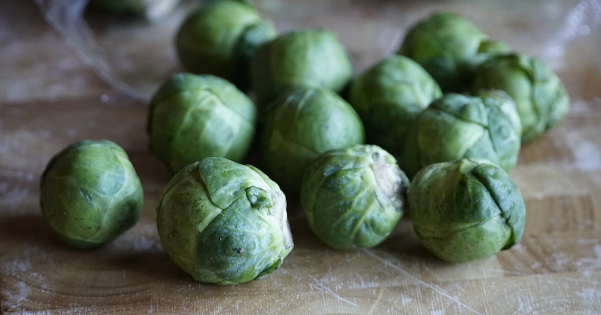 Sprouts - The Poke - The Poke