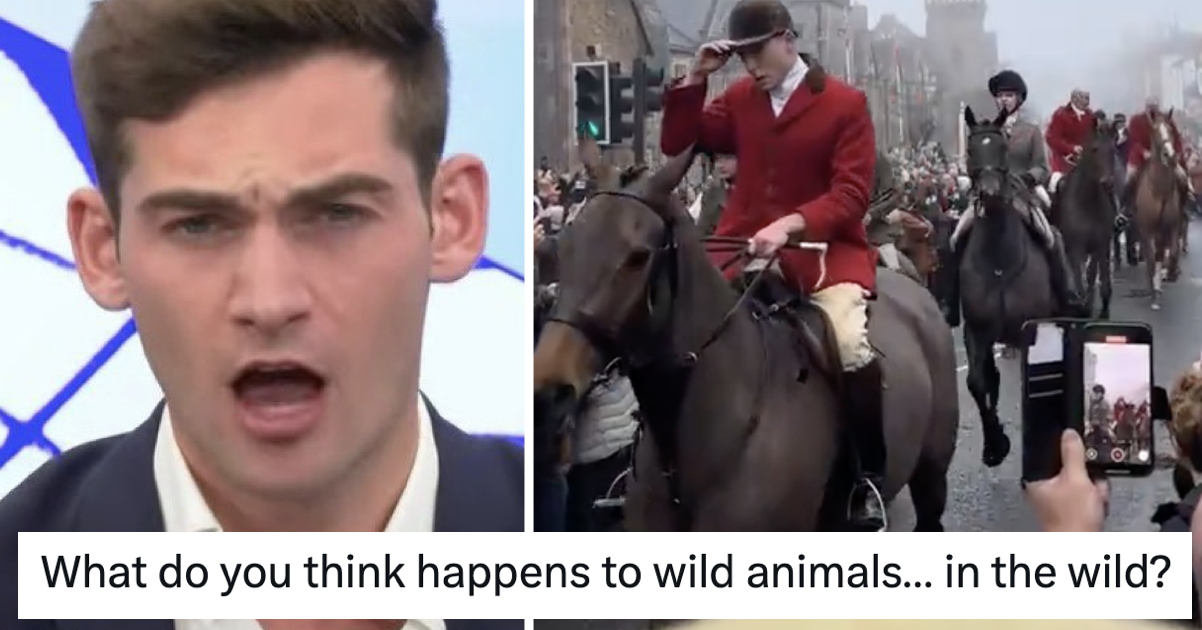 A GB News presenter said foxes being hunted by dogs was no different ...