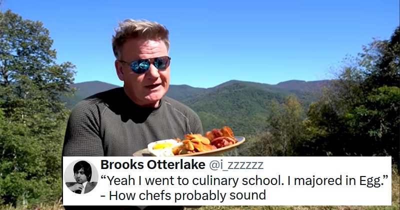 Our 25 Funny Tweets of the Week - The Poke